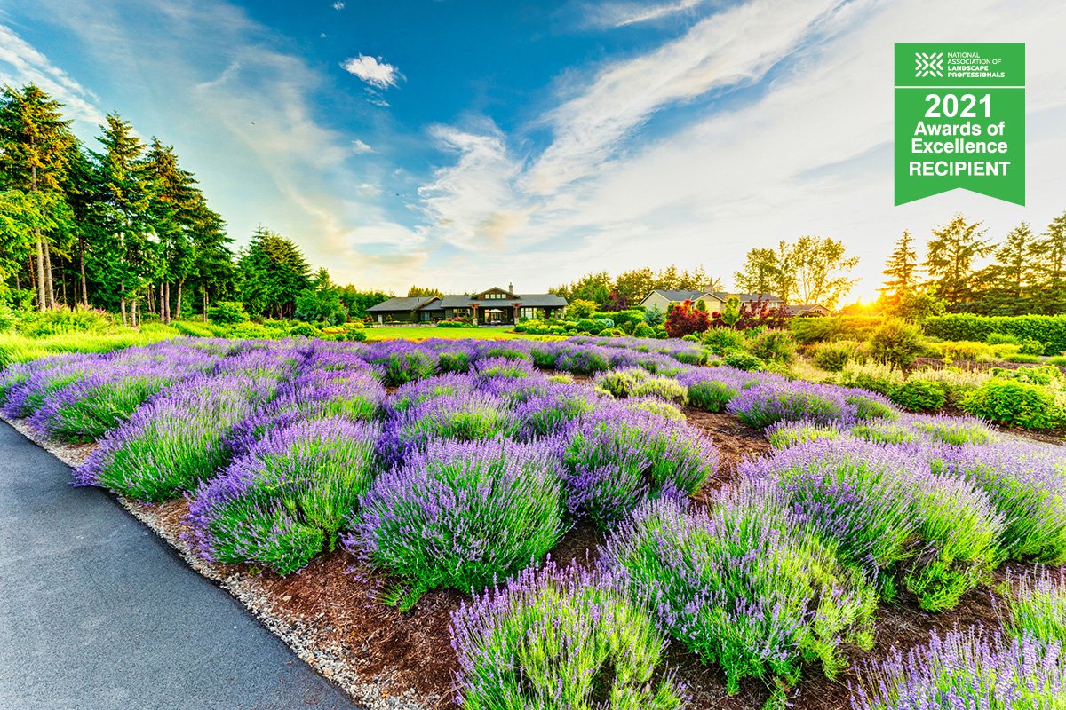 Vast Garden Landscape With a View | Landscaping Services & Garden ...