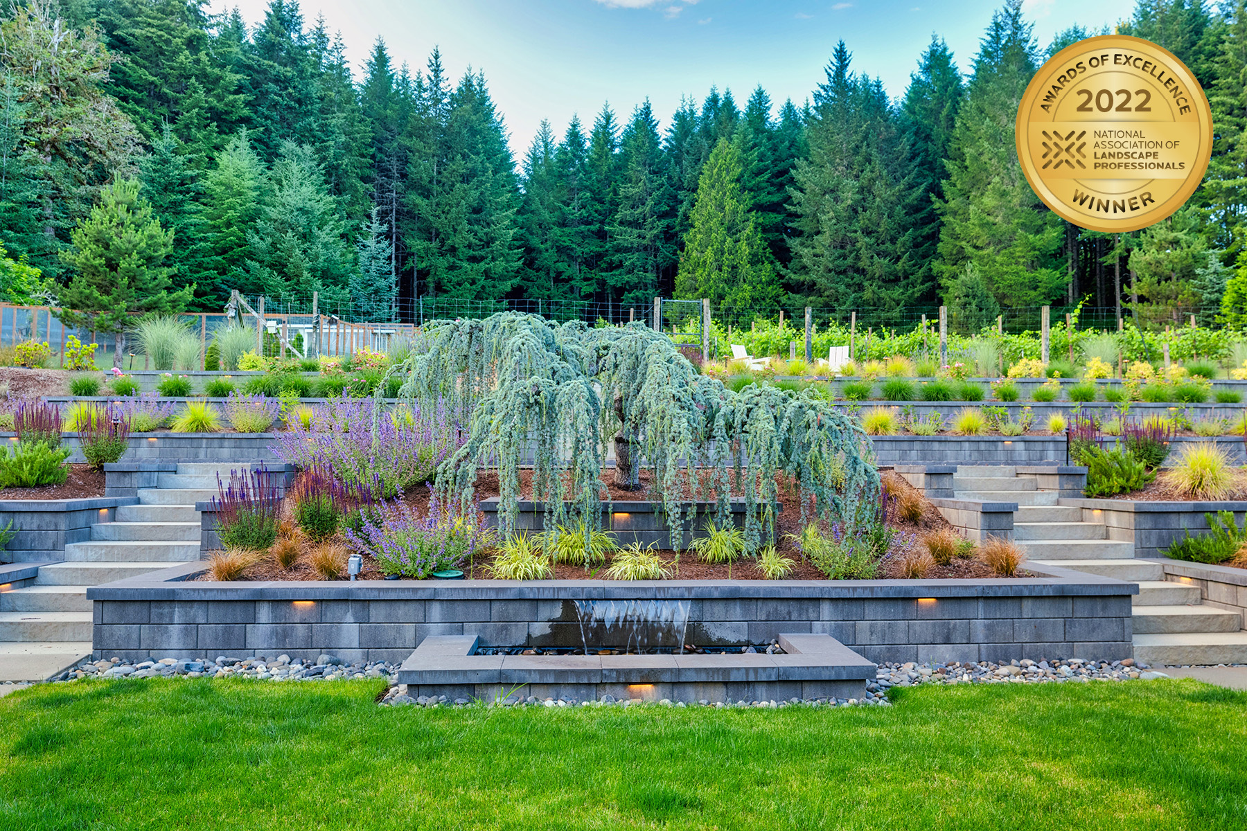 Large-Scale Contemporary Sloped Landscape | Landscaping Services ...