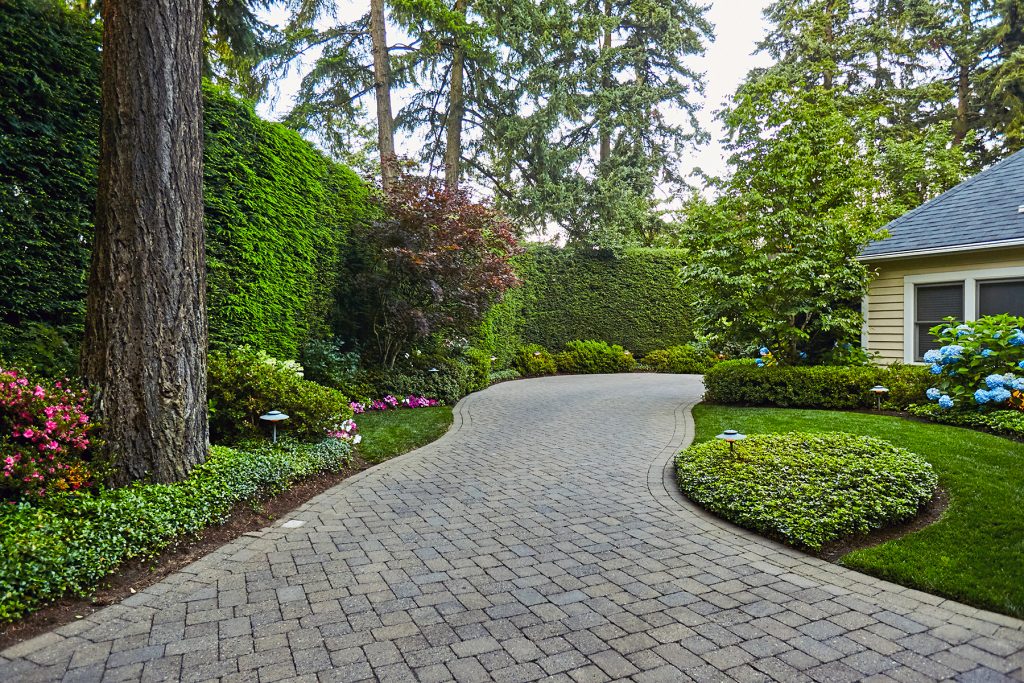 Growing Hedges 101: A Gardener’s Guide to Lush, Living Fences - Dennis ...