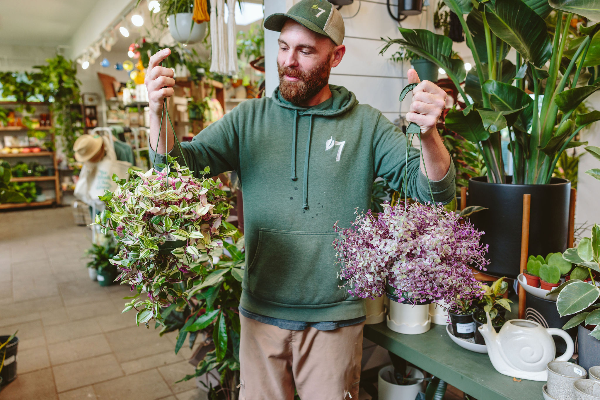 The 7 Best Houseplants for Your Home in 2026 - Dennis' 7 Dees ...